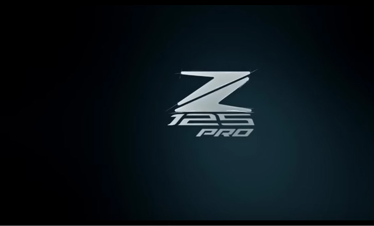 Kawasaki Z125 PRO 2017 | Pro Bike Motor GmbH-Kawasaki Vertragshändler ...